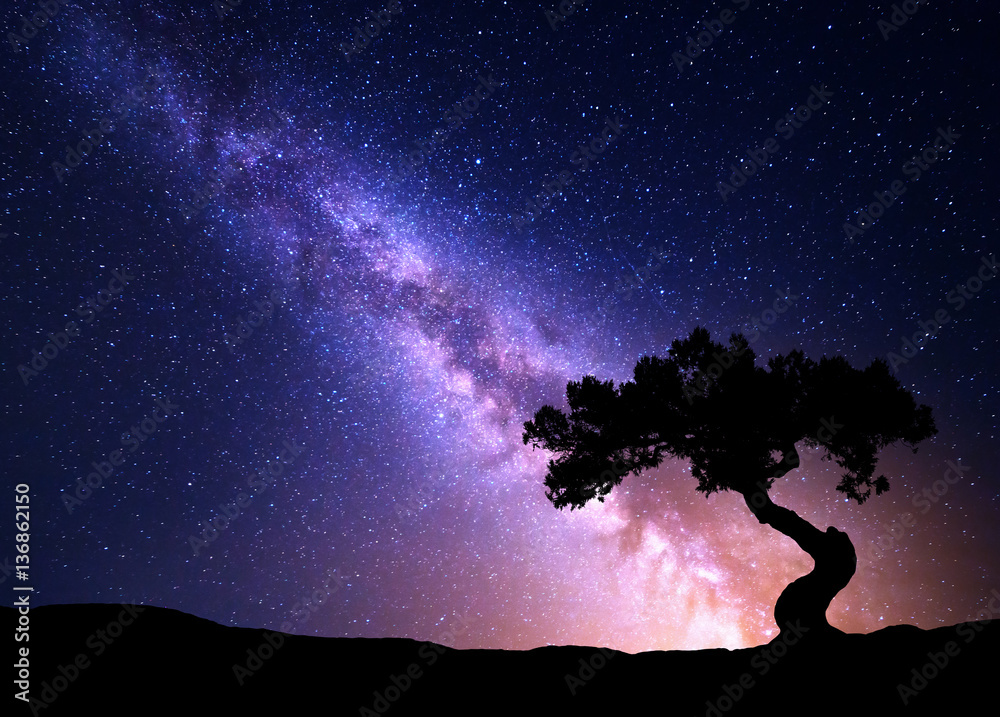 Foto de Stock Milky Way and tree on the hill. Old tree growing out of ...
