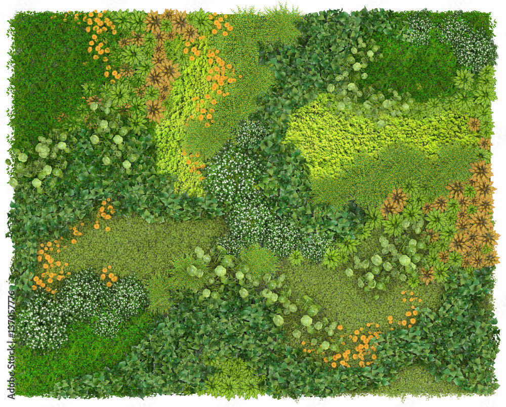 Vertical Garden Background and Texture. Green wall or flowerbed ...