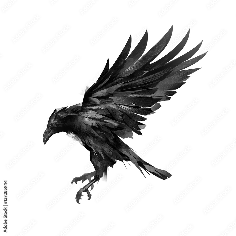 drawing a sketch of a flying black crow on a white background Stock ...