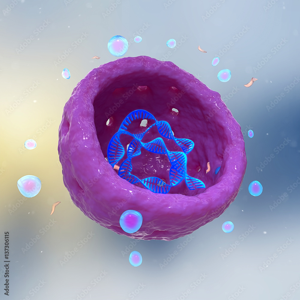 3D render,illustration.Nucleus, Nucleolus, human body cell. Nucleus of ...