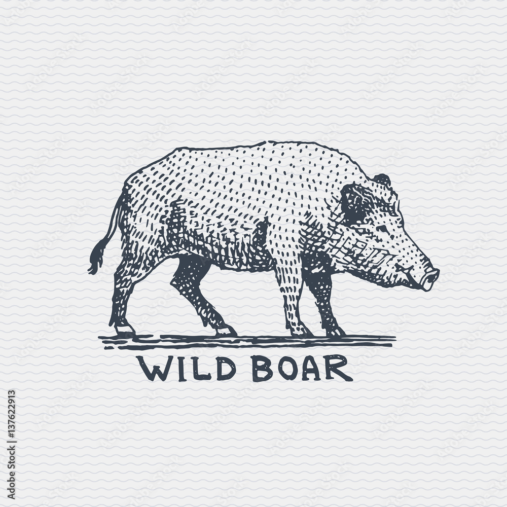 vintage old logo or badge, label engraved and old hand drawn style wild ...