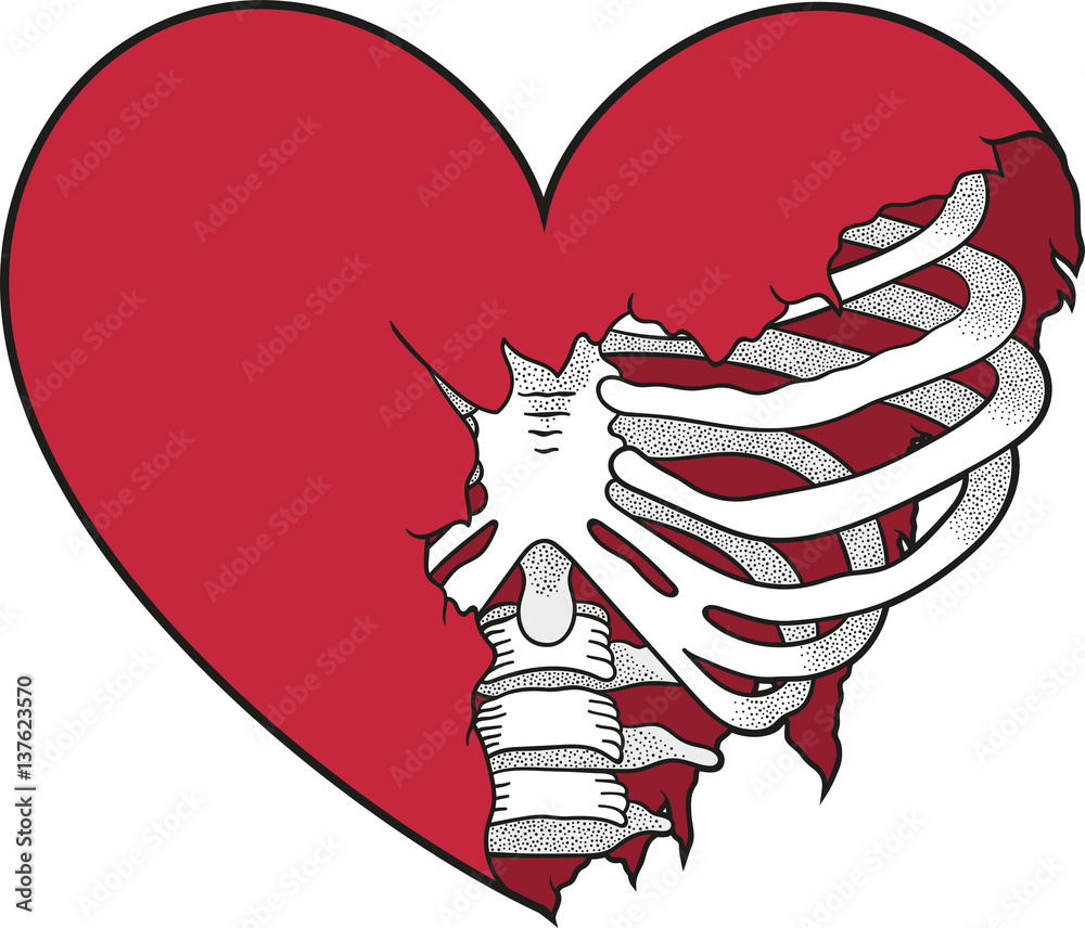 Vector illustration of a red ripped heart with ribs underneath Stock ...