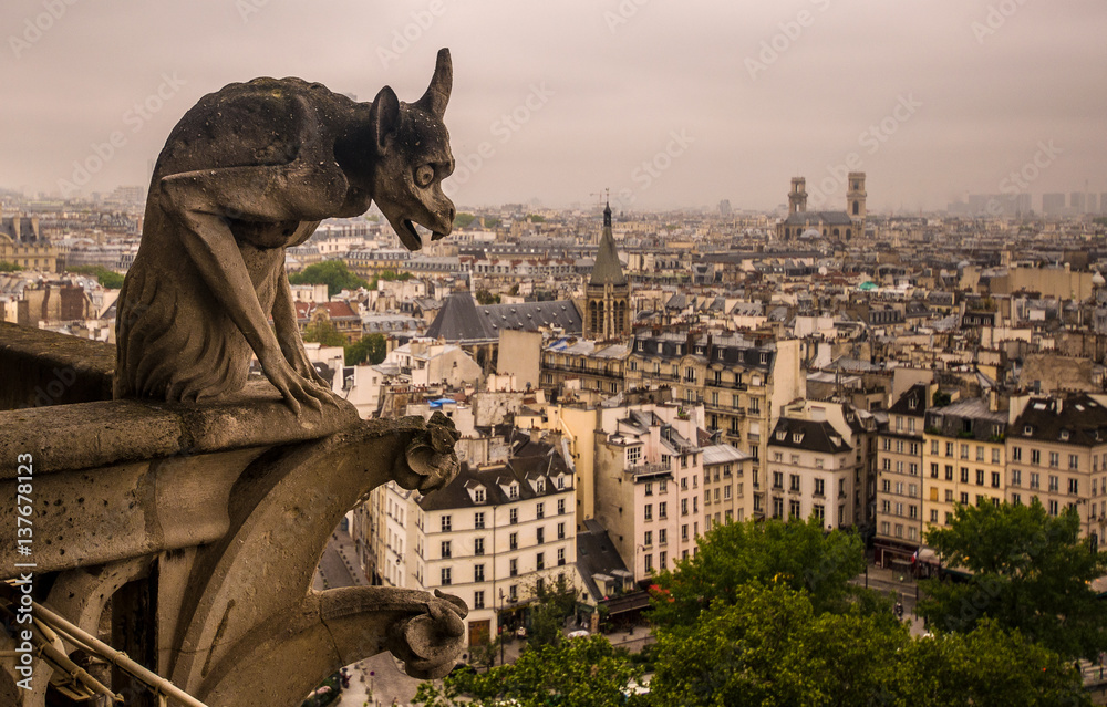 Chimera (gargoyle) of the Cathedral of Notre Dame de Paris overlooking ...