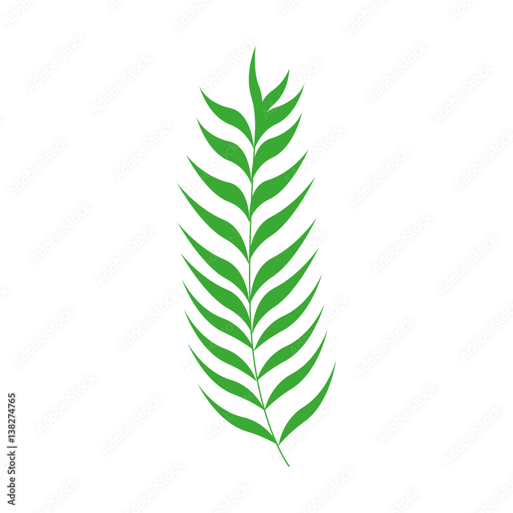 green stem with many leaves vector illustration Stock Vector | Adobe Stock