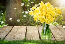 Spring Flowers In Bucket Free Stock Photo - Public Domain Pictures