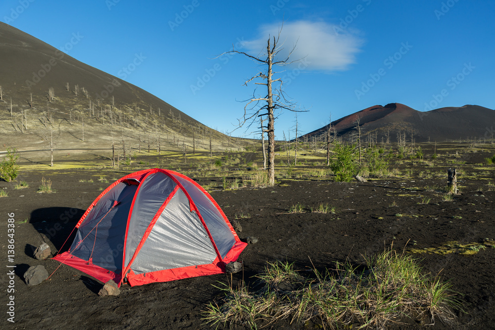 Tourist tent in Dead wood - consequence of catastrophic release of ash ...