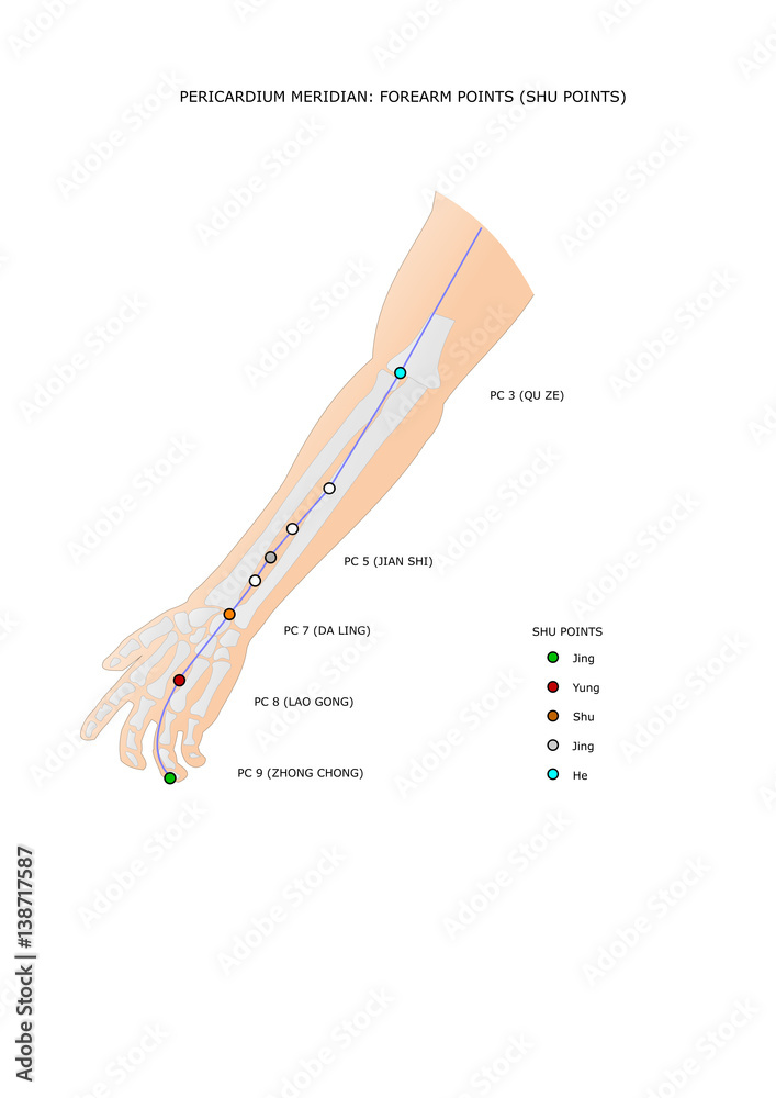 acupuncture: the pericardium (PC) meridian with its forearm points ...