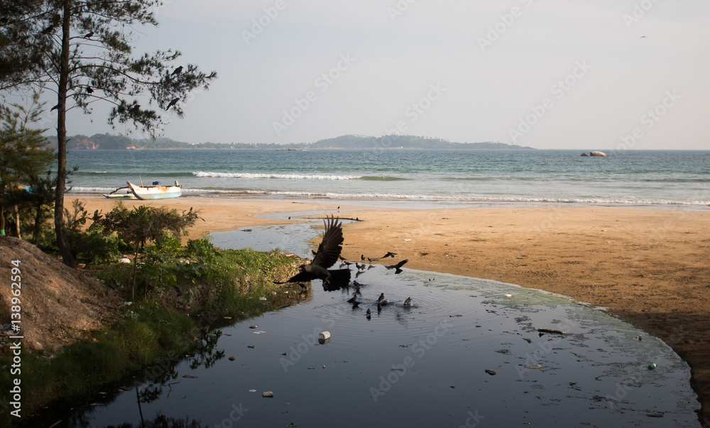 Poor asian village with pollution problem and crows. Plastic bottles ...
