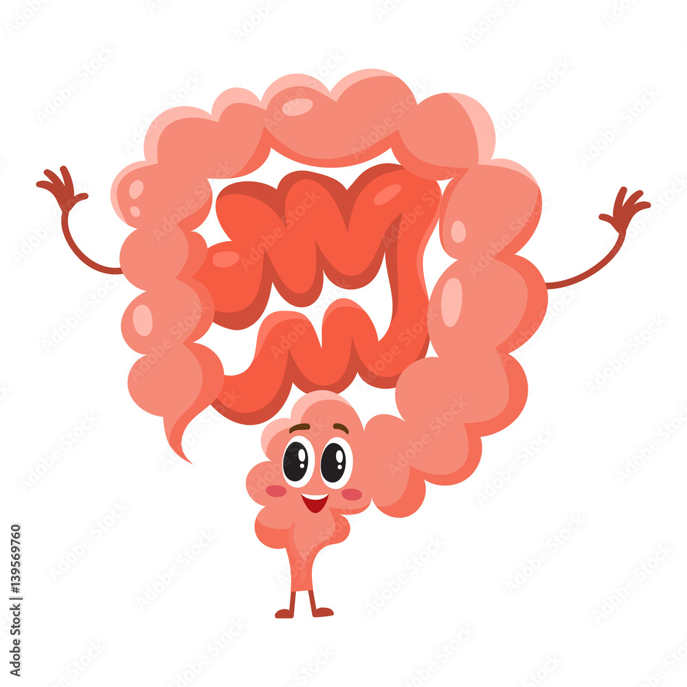 Cute and funny, smiling healthy bowel, intestine character, cartoon ...