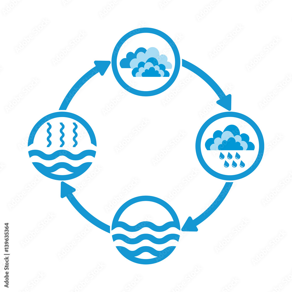 Water cycle infographics. The water cycle vector diagram of ...