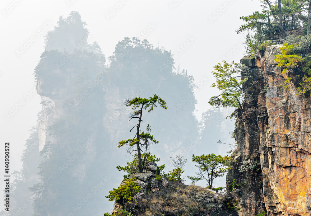 Alone tree on rock column (Avatar rocks). Zhangjiajie National Forest ...