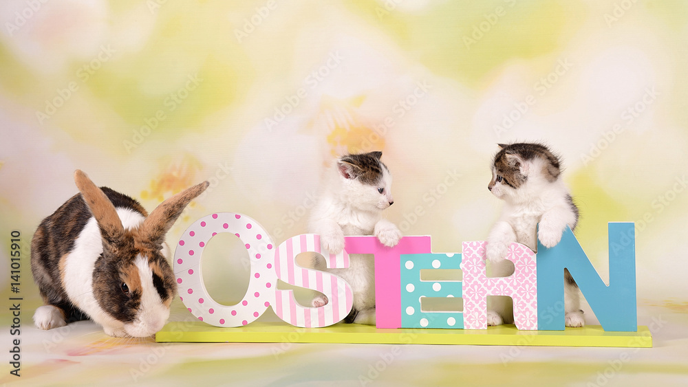 Stock-Foto „Süße Tiere Ostern“ | Adobe Stock