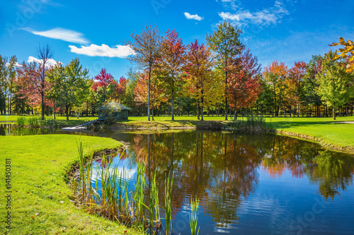 Nice park - Buy this stock photo and explore similar images at Adobe ...