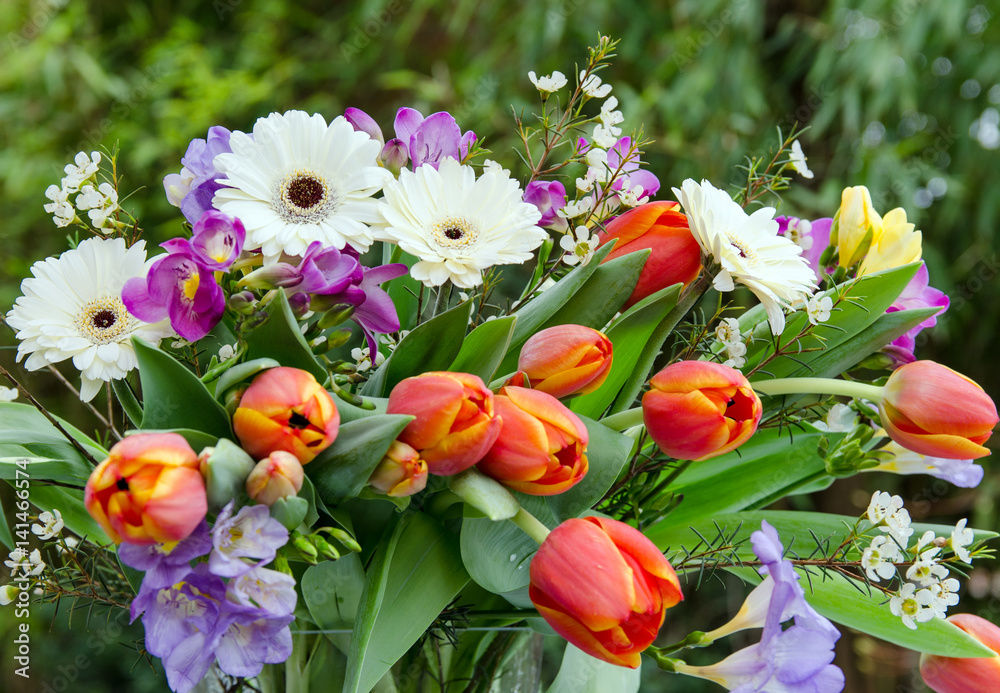 Happy Birthday, alles Liebe, Gratulation: Herzlichen Glückwunsch zum ...