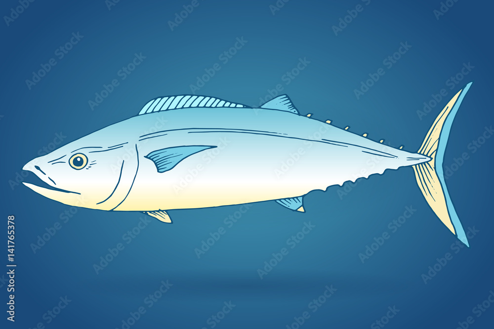 Stock-Vektorgrafik „Vector tuna fish hand drawn illustration. Ink ...
