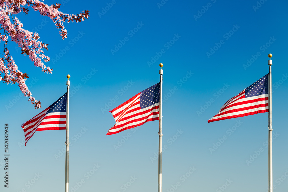 Foto de Stock Cherry blossom abd flags of the United States waving over ...