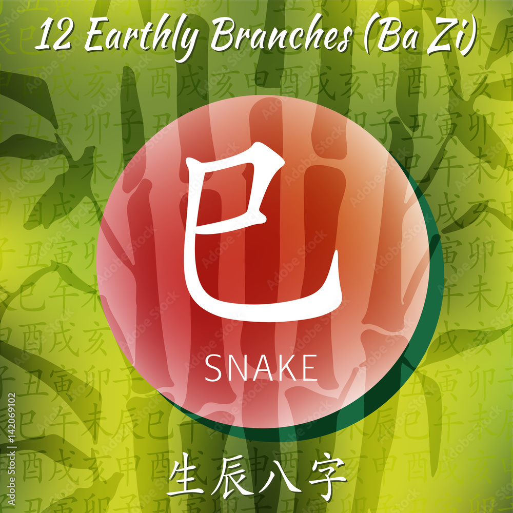 Set of chinese feng shui hieroglyphs. Translation of 12 zodiac animals ...