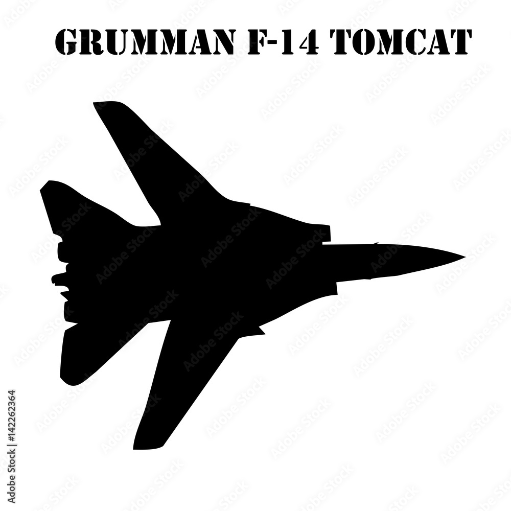 Grumman F-14 Tomcat Stock Vector | Adobe Stock