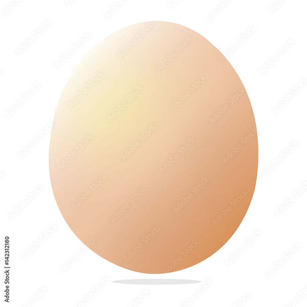 Egg on white background, vector illustration Stock Vector | Adobe Stock