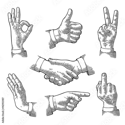 Male Hand sign. Like, Handshake, Ok, Stop, Middle finger, Victory Stock ...