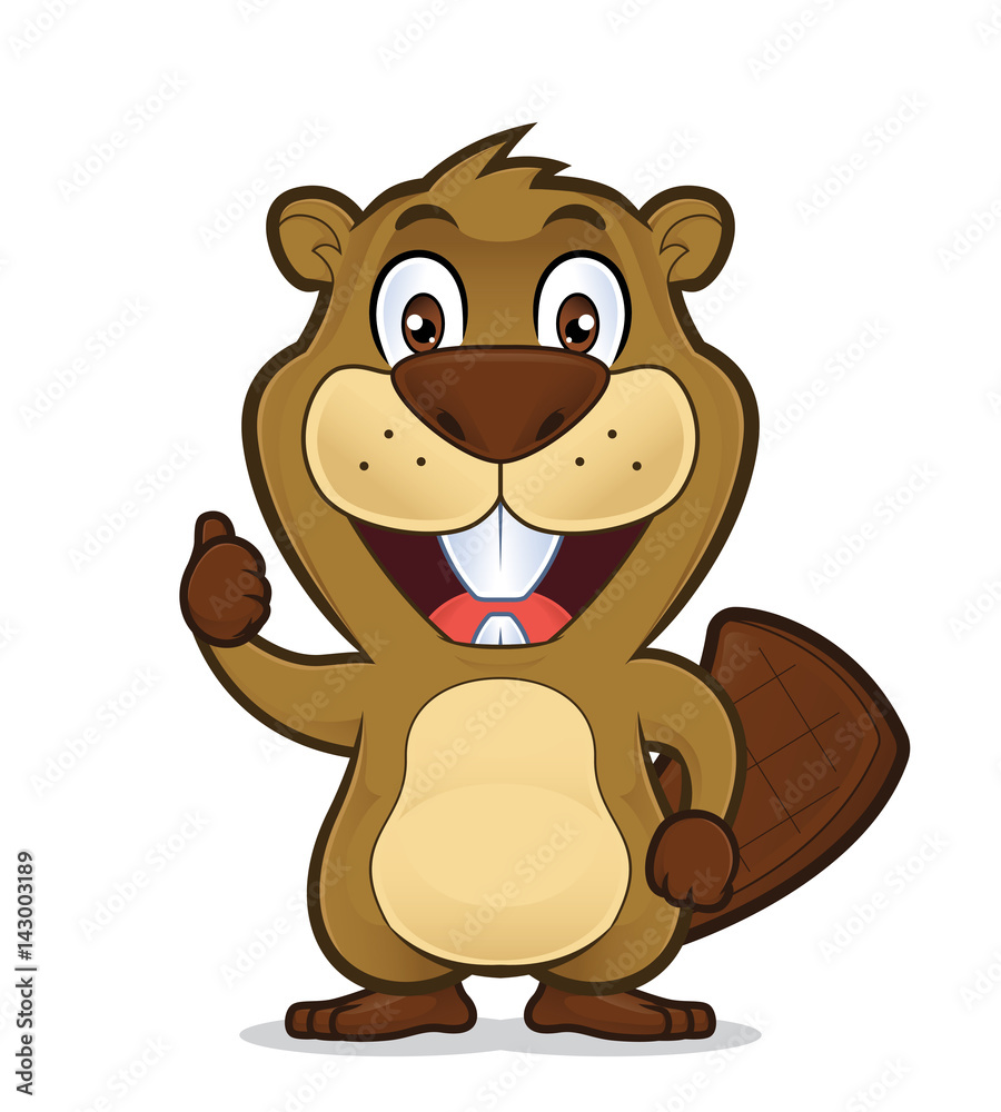 Beaver giving thumbs up Stock Vector | Adobe Stock