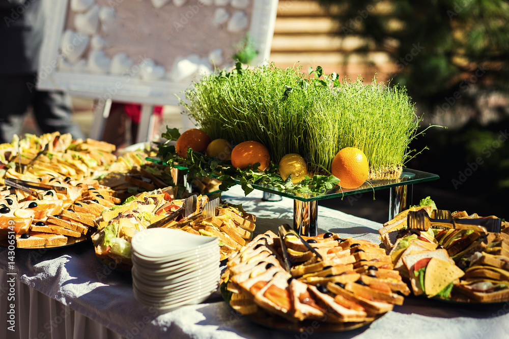 buffet table, Canape with salmon, sandwiches, snacks, holiday table ...