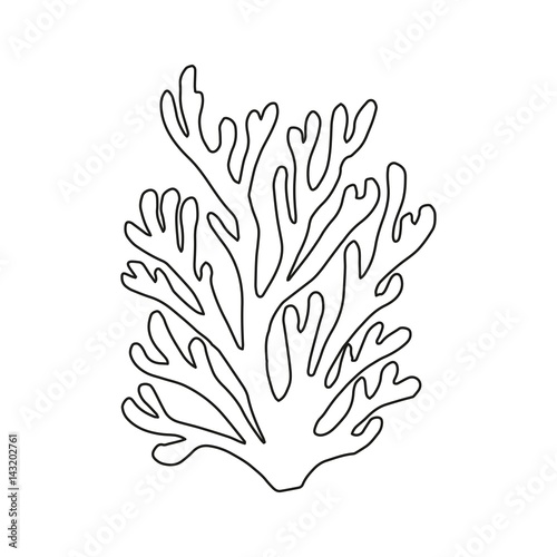 Coral Vector Tracing