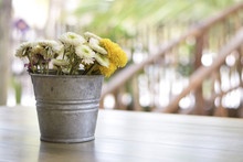 Bucket Of Spring Flowers On Table Free Stock Photo - Public Domain Pictures