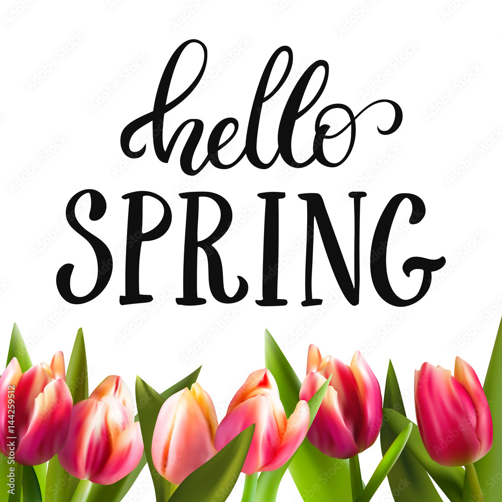 Hello spring hand lettering on white background, with realistic ...