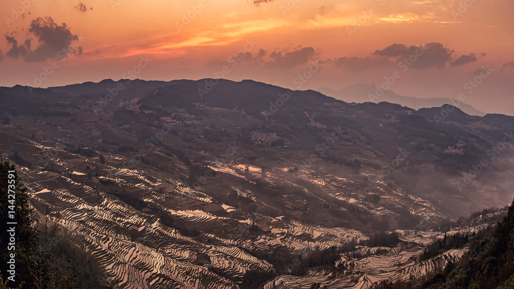 Terraced Rice Fields Scenery in Spring Water Season at Yuan Yang ...