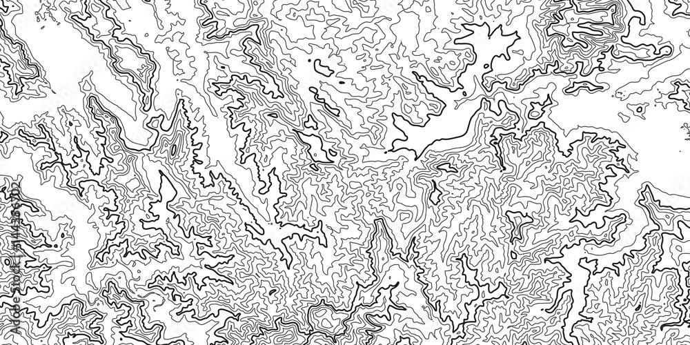 Vector abstract grayscale earth relief map. Generated conceptual ...