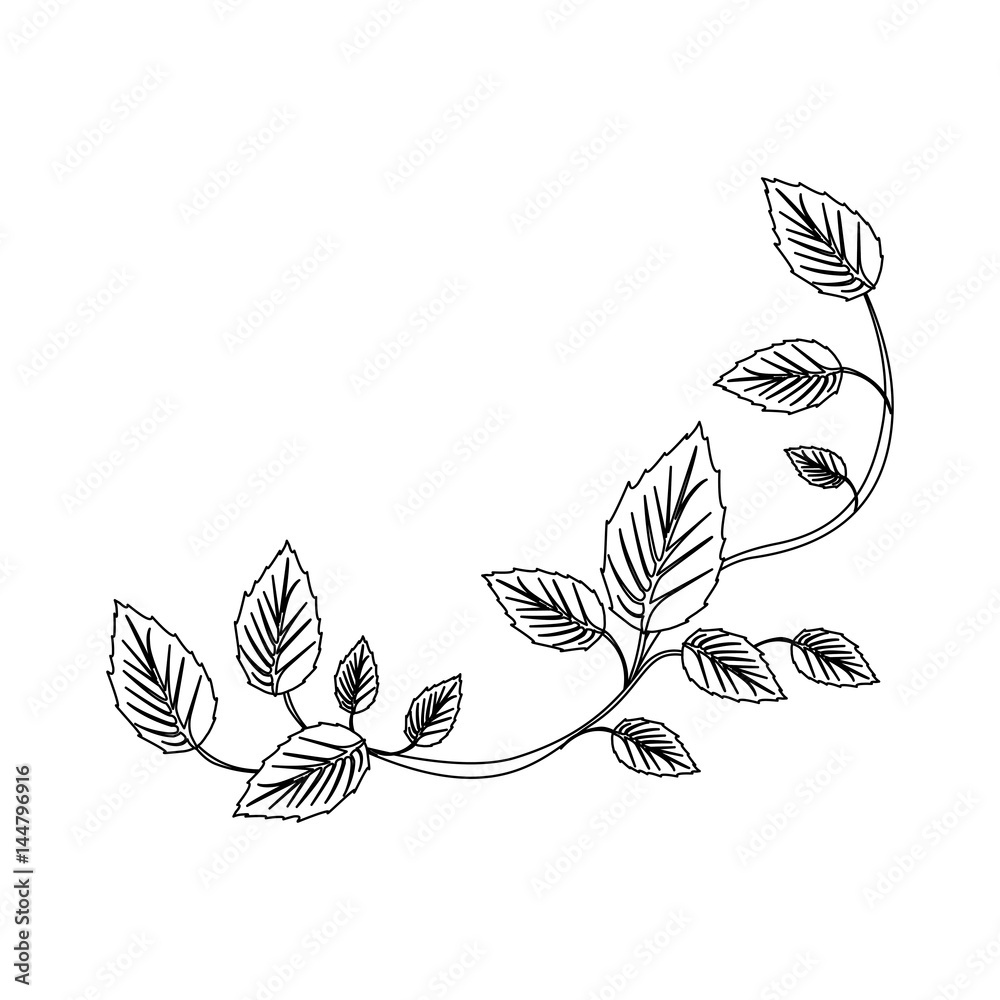 black silhouette of creeper plant vector illustration Stock Vector ...