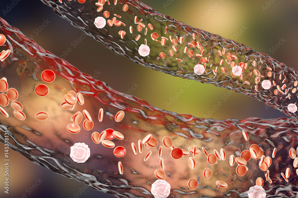 Blood vessels with flowing blood cells, side view, 3D illustration ...