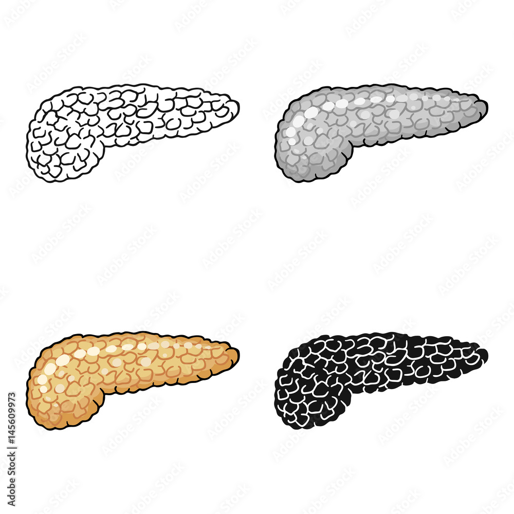 Human pancreas icon in cartoon style isolated on white background ...