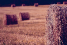 Red Hay Barn Wall Free Stock Photo - Public Domain Pictures