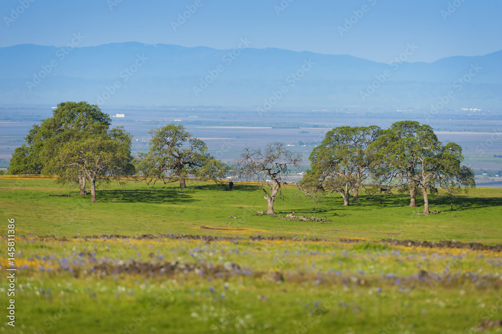 Stockfoto North Table Mountain Ecological Reserve, Oroville, California ...