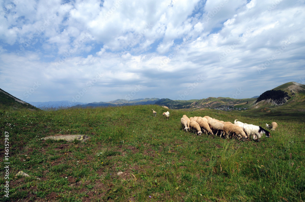 Artvin,is a city in northeastern Turkey about 30 km inland from the ...