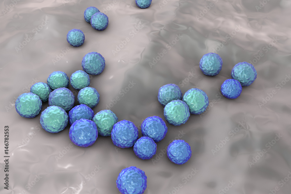 Bacteria Enterococcus on surface of skin or mucous membrane, 3D ...