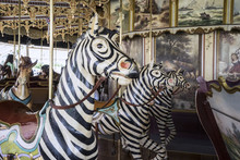 Zebra Carousel Horse Free Stock Photo - Public Domain Pictures