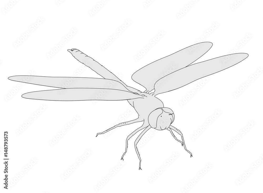 2d cartoon illustration of emperor dragonfly Stock Illustration | Adobe ...