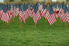 Rows Of American Flags Free Stock Photo - Public Domain Pictures