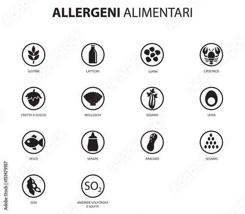 Vettoriale Stock icone allergeni alimentari | Adobe Stock