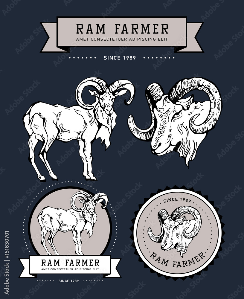 Vintage hand draw ram label. Stock Vector | Adobe Stock