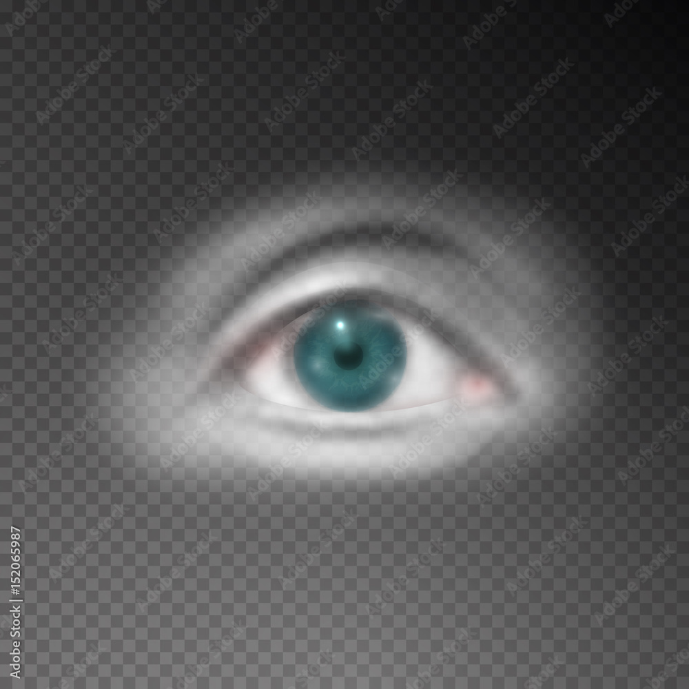 Realistic human eye on transparent background. Vector illustration ...