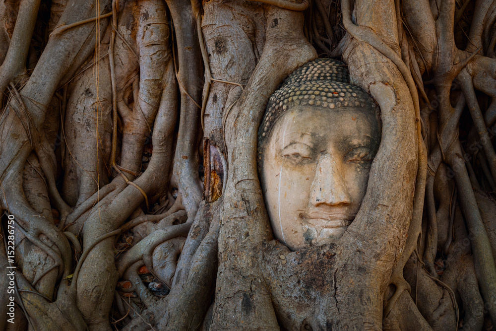 Famous Buddha Head with Banyan Tree Root at Wat Mahathat Temple in ...