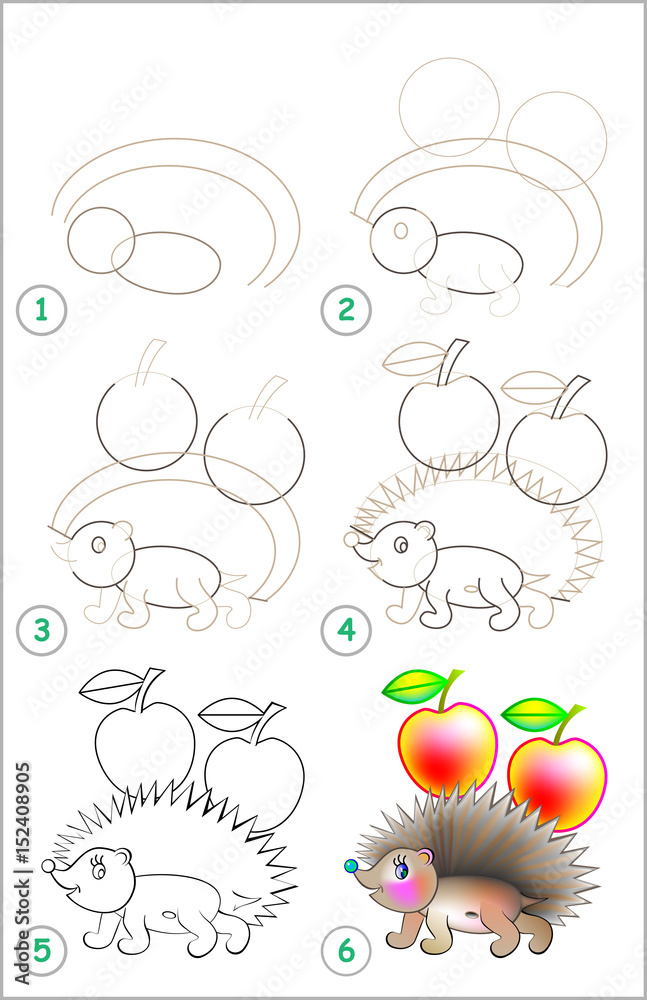Page shows how to learn step by step to draw a hedgehog. Developing ...