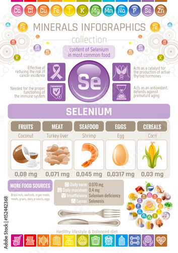 Selenium Mineral supplement rich food icons. Healthy eating flat icon ...