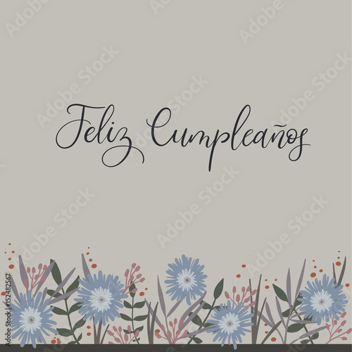 Feliz Cumpleanos - Happy Birthday in Spanish. Calligraphy greeting card ...