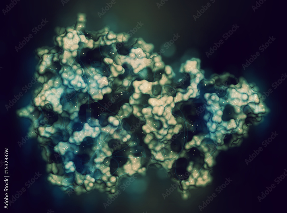 CGRP receptor (RAMP1:CLR fusion protein). Antagonists of the calcitonin ...