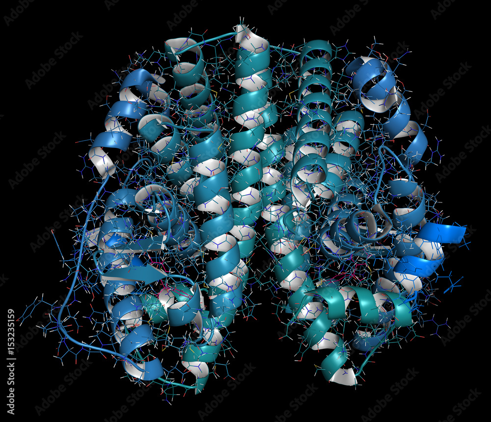 Estrogen receptor (ligand binding domain), bound to bisphenol A (BPA ...